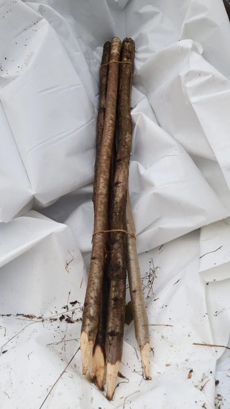 Fruit trees online store — Fruit Works