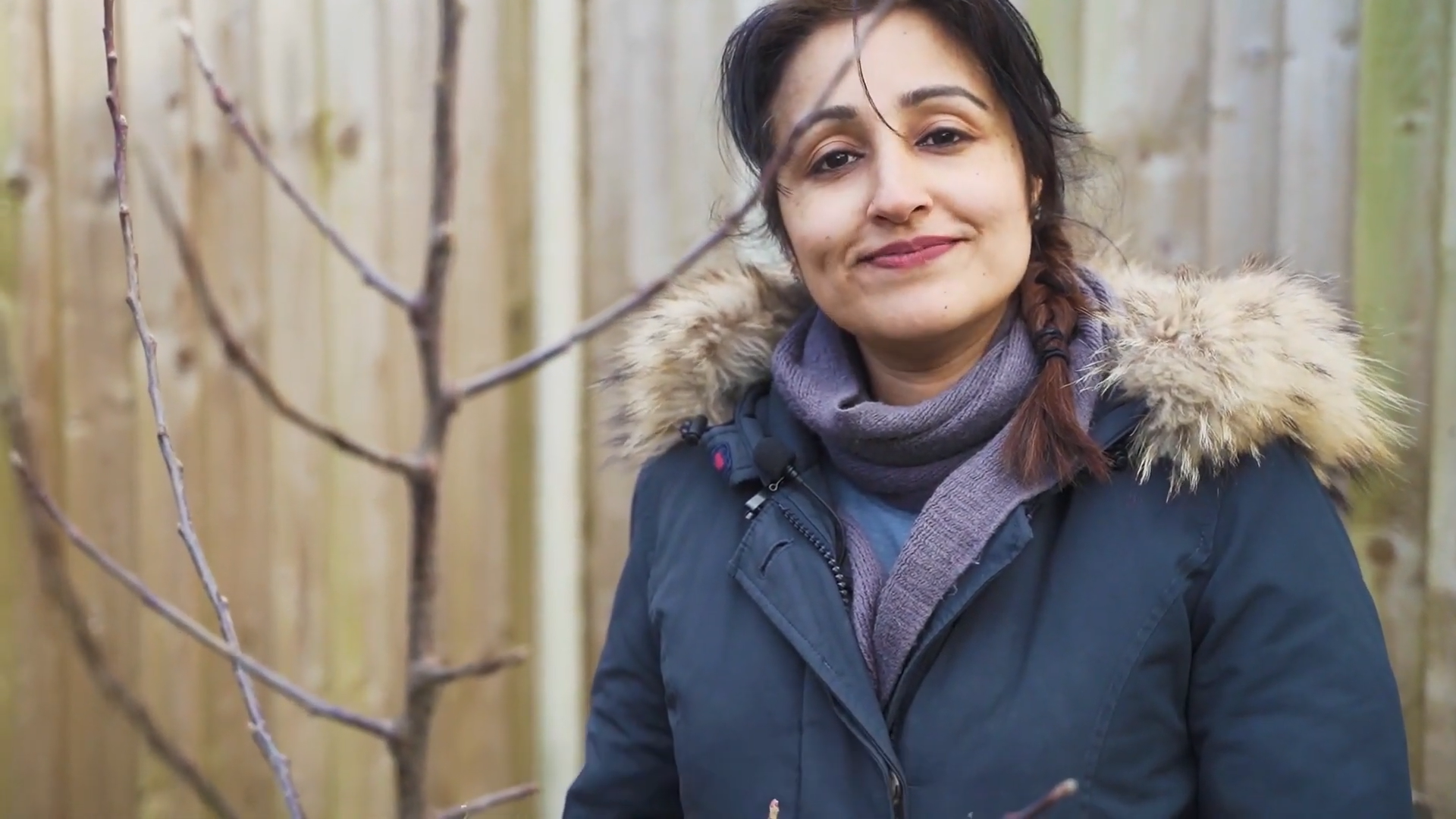 Advice — Fruit Works