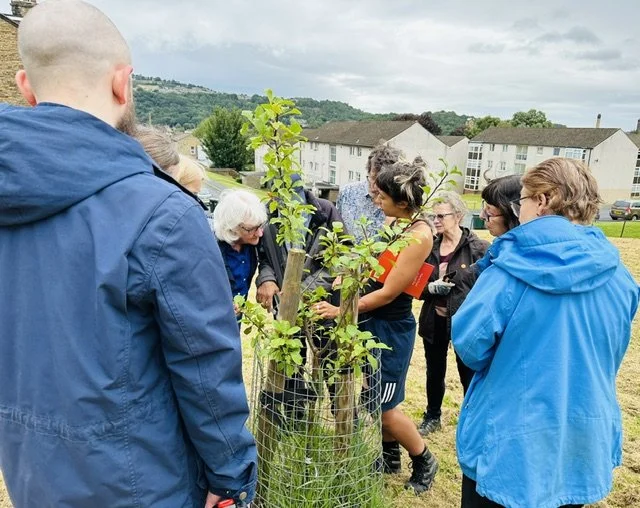 Community Orchard Pathway (3/4): Caring — Fruit Works