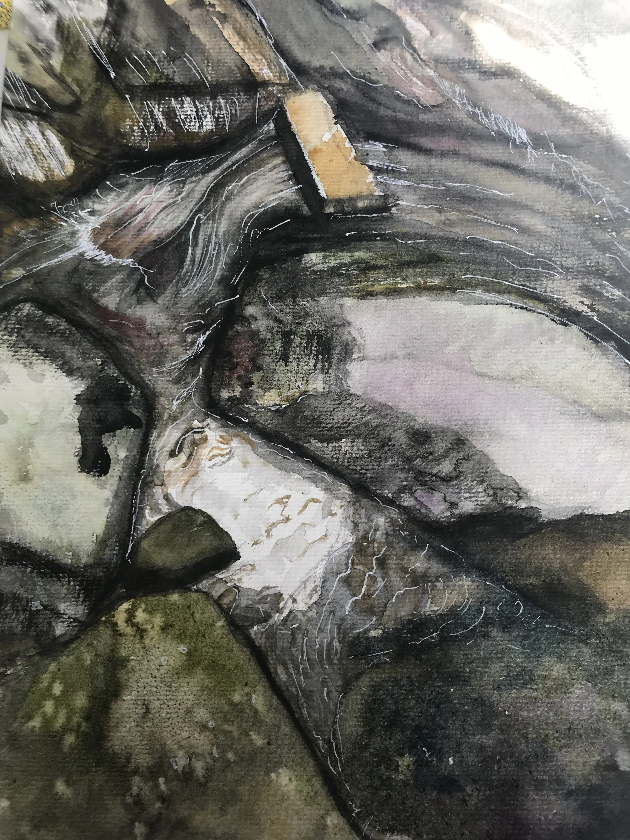 feldgang ceyrat. — simon.ensor.art