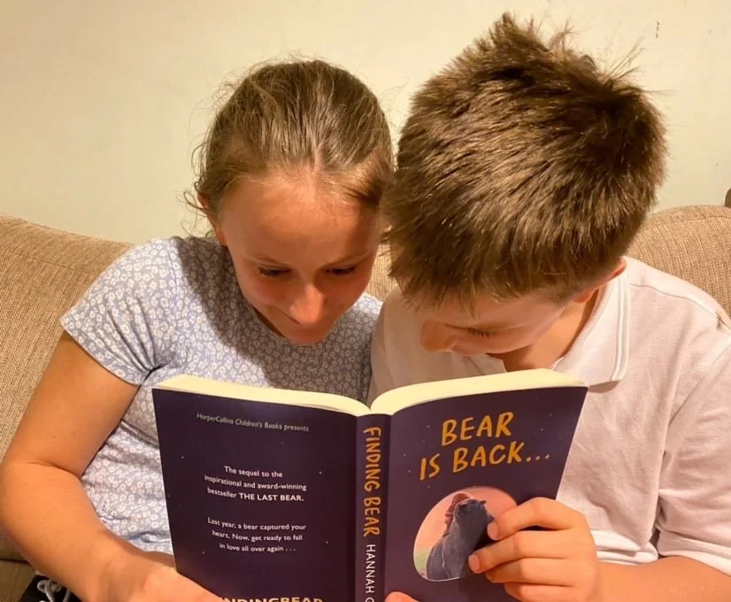 Guest Review of Finding Bear — The Imaginarium - Independent Bookshop ...