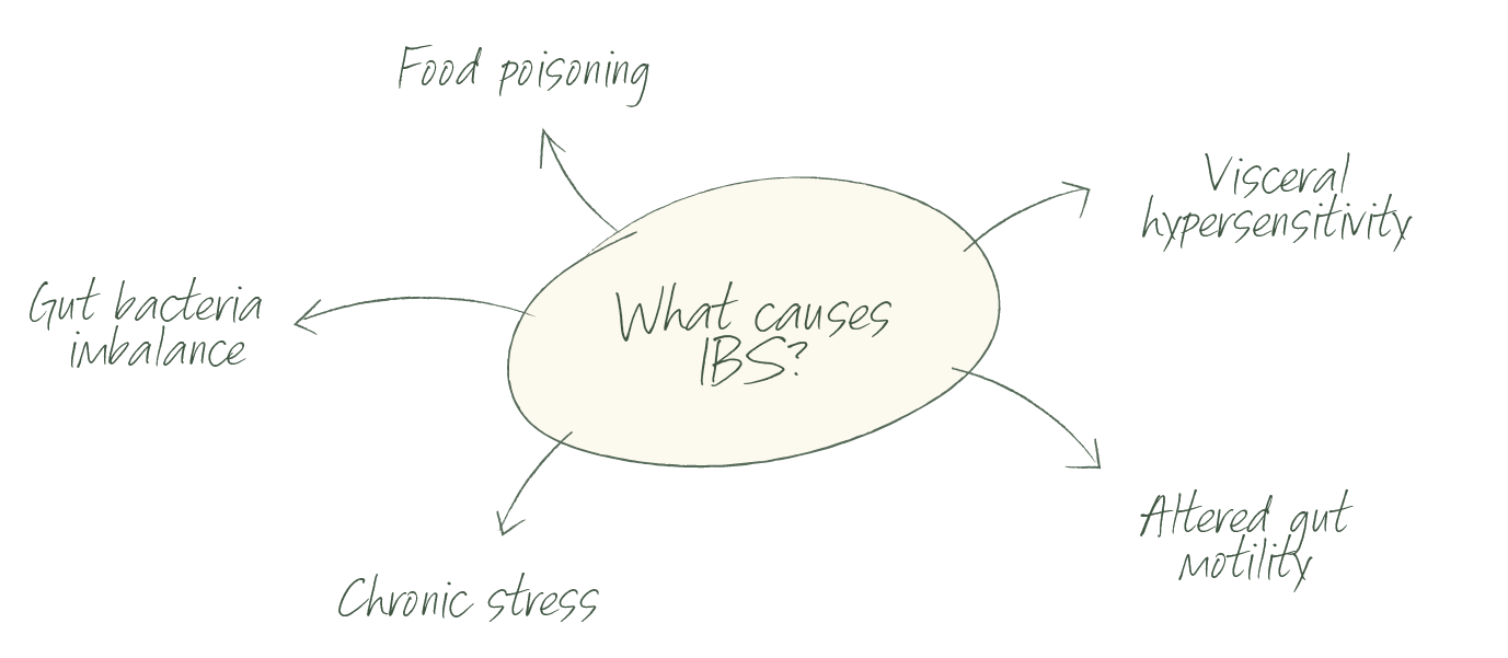 Post Infectious IBS Upset Tummy After A Stomach Bug Gutfulness