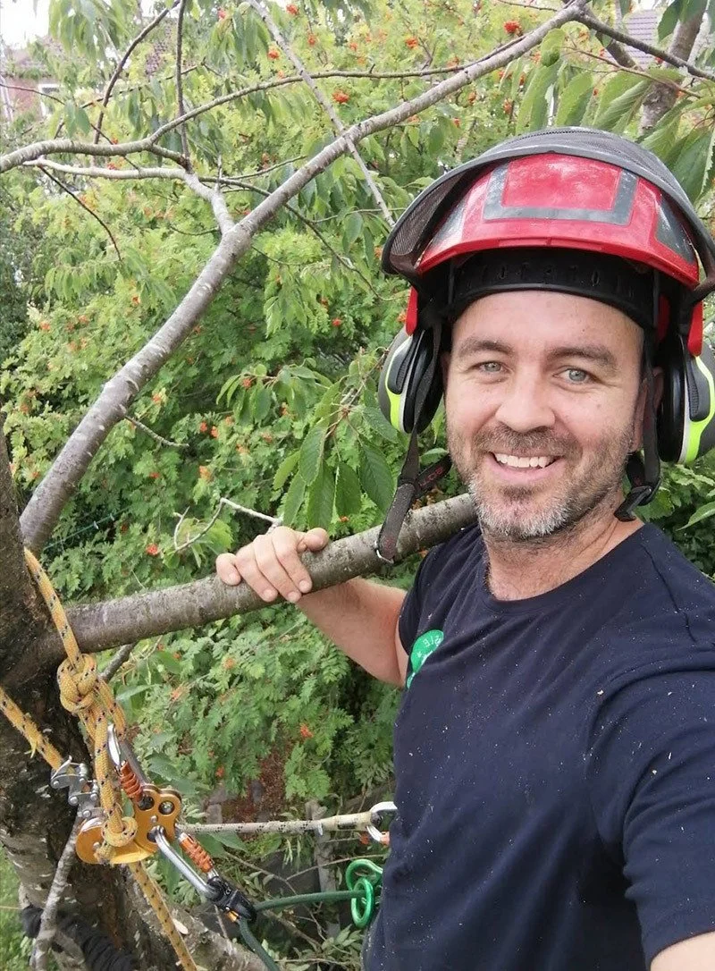 About | Aussie Tree Care
