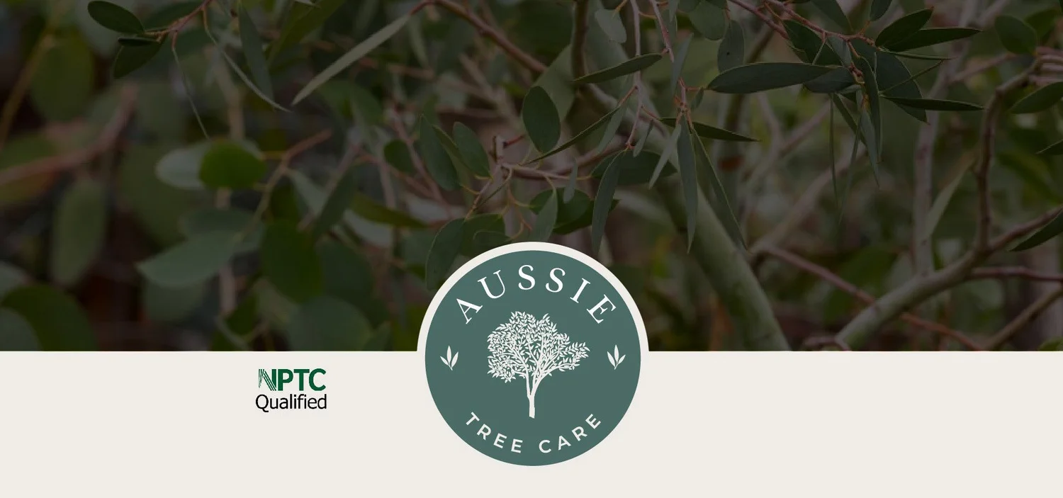 Aussie Tree Care
