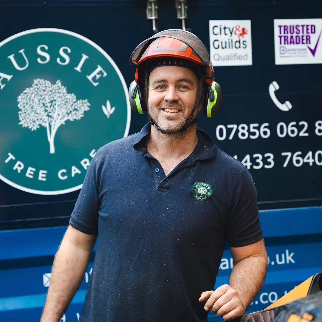 Tree Surgeon Chesterfield | Aussie Tree Care