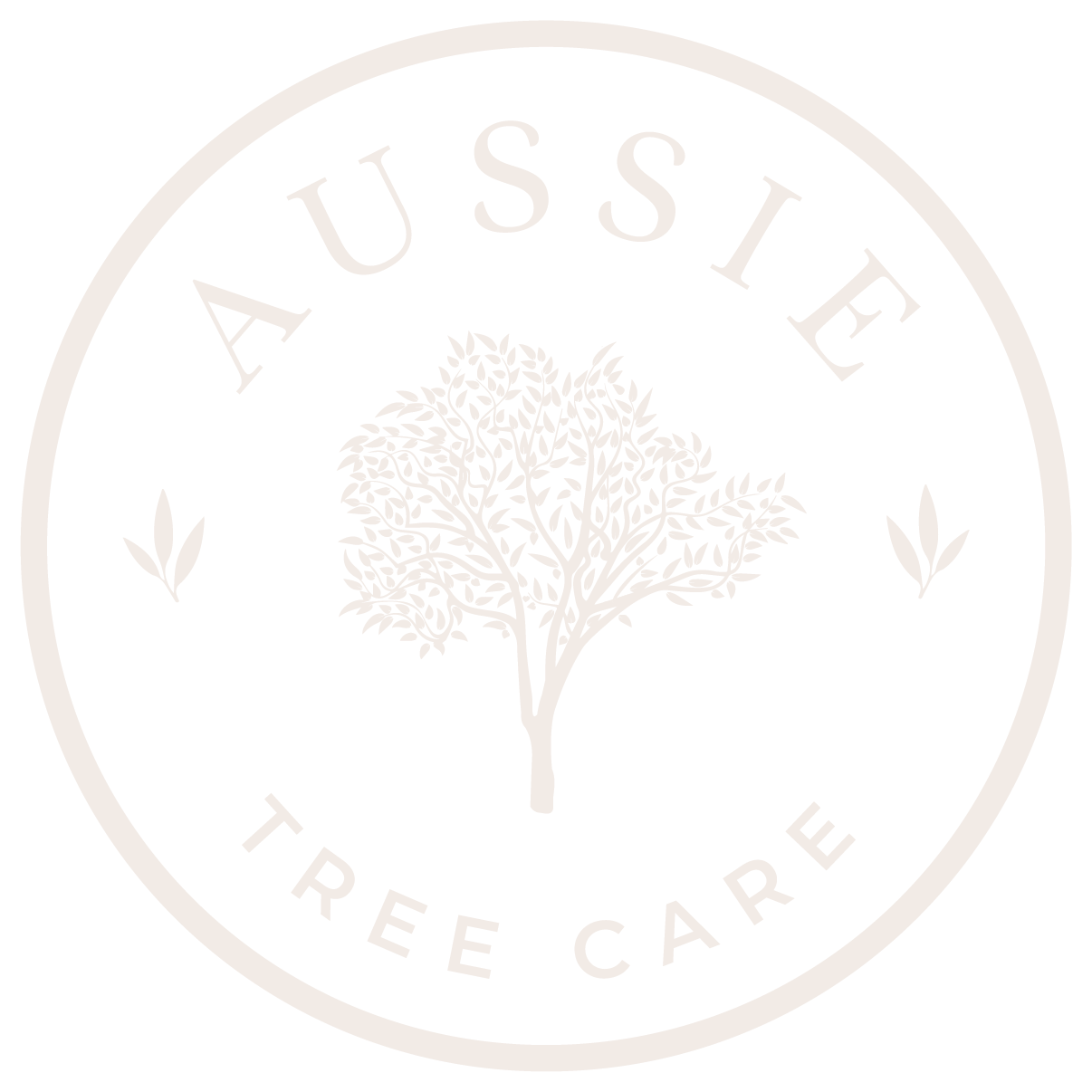 Tree Pruning Derbyshire | Aussie Tree Care