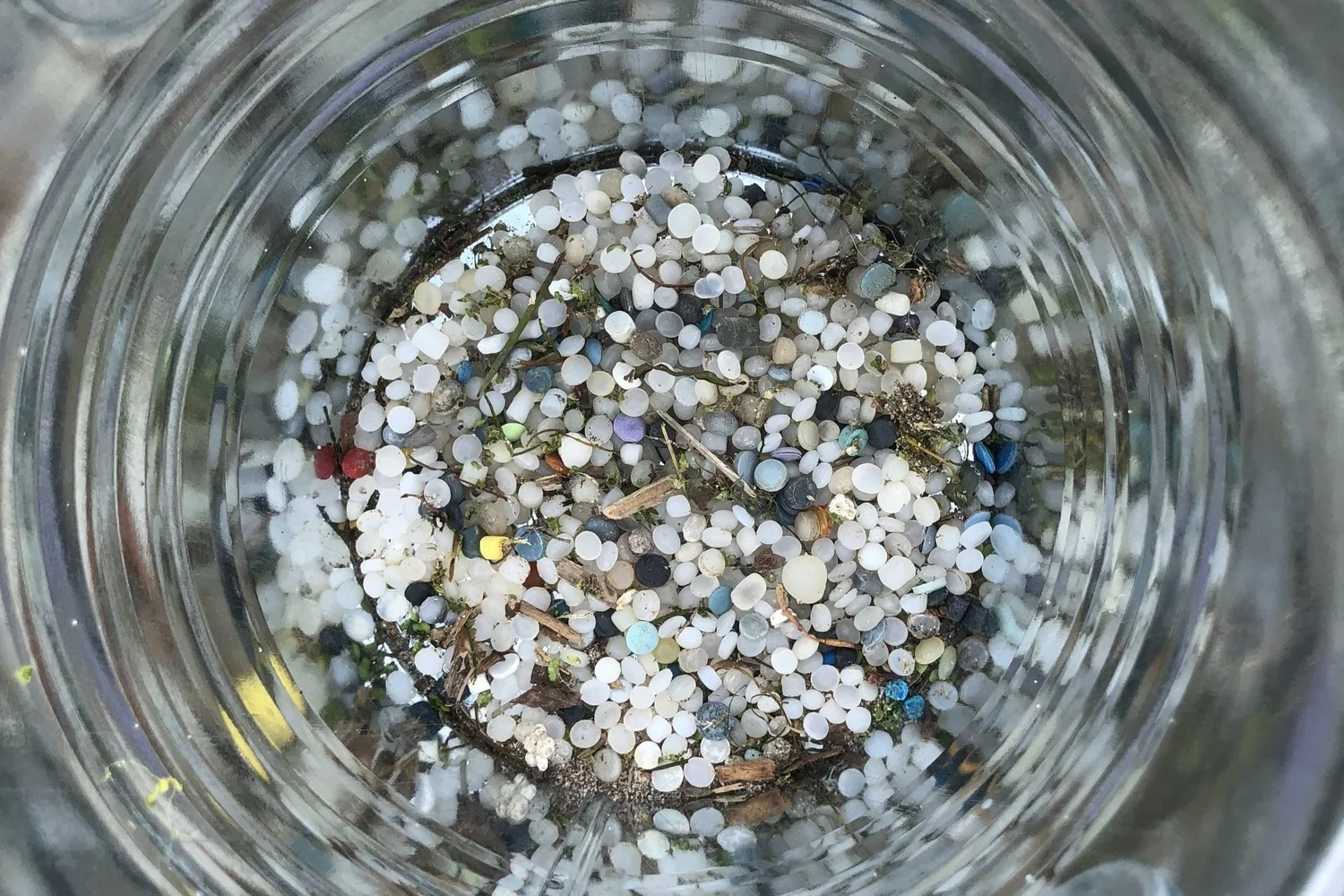 Nurdles: Plastic Pollution Lurking in our Lakes — A Greener Future