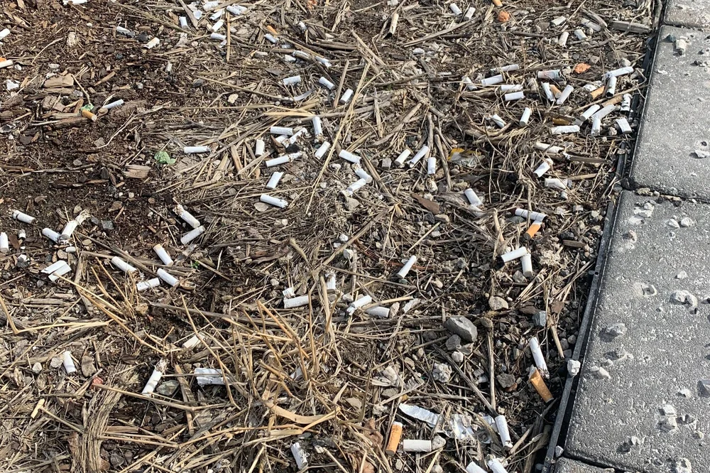 Cigarette Recycling in Canada: TerraCycle’s Community Impact — A ...