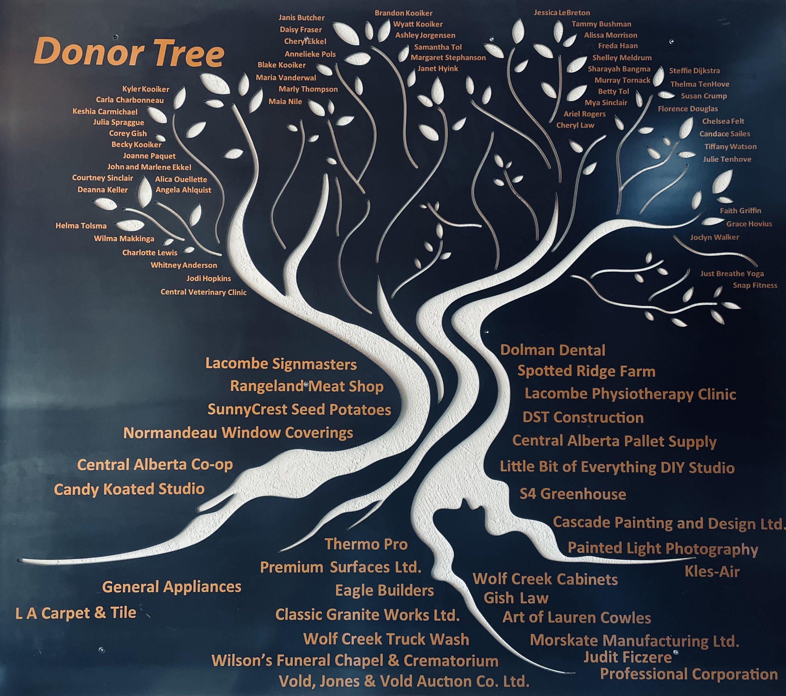 Support the Foundation — The Broom Tree Foundation
