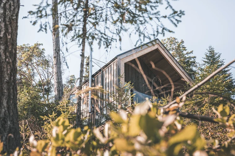 Blend Projects | Home