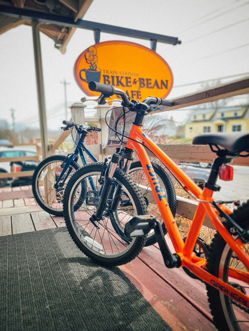 Bike Rentals - Premium, Gravel, E-Bikes — Train Station Bike and Bean Café and Bike Shop
