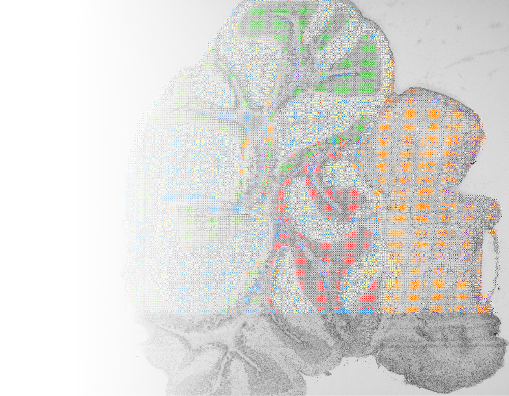 Spatial Epigenomics — AtlasXomics