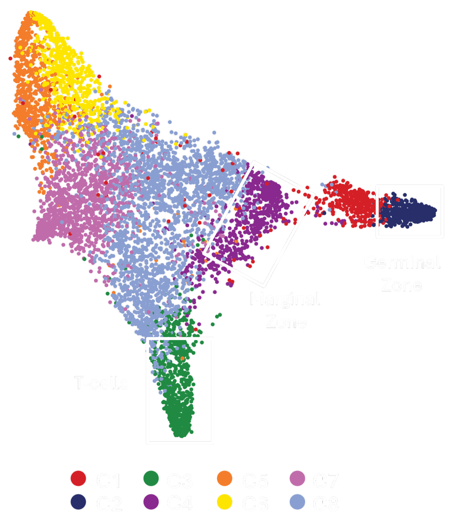 Spatial Epigenomics — Spatial ATAC-seq — AtlasXomics