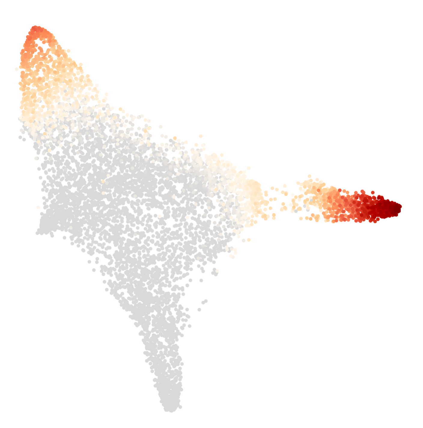 Spatial Epigenomics — Spatial ATAC-seq — AtlasXomics