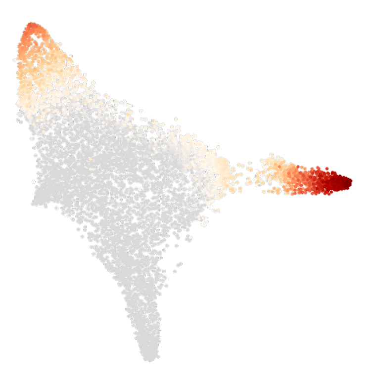 Spatial Epigenomics — Spatial ATAC-seq — AtlasXomics