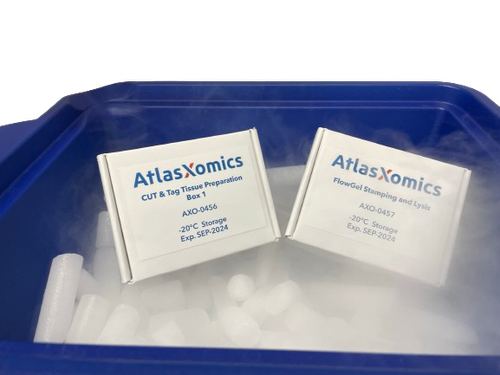 Spatial Epigenomics — FlowGel Spatial Barcoding Kit — AtlasXomics