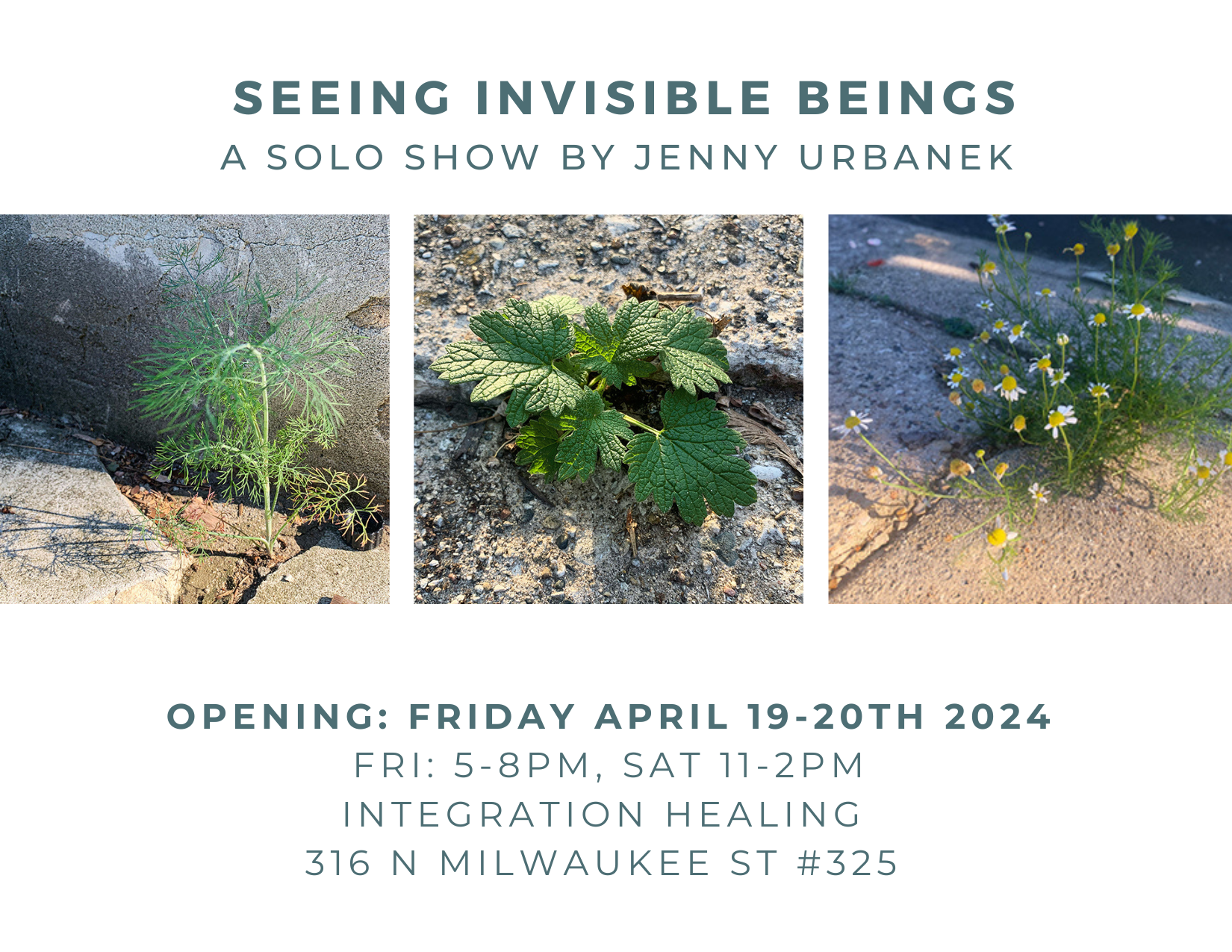 Seeing Invisible beings: A show art exhibition by Jenny urbanek ...