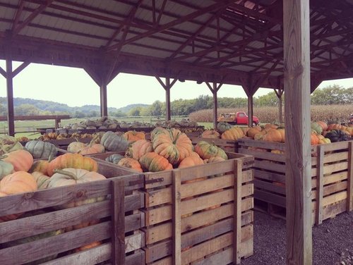 Episode 67 // Mary Morgan Gentry of Gentry's Farm and Hatcher's Dairy ...