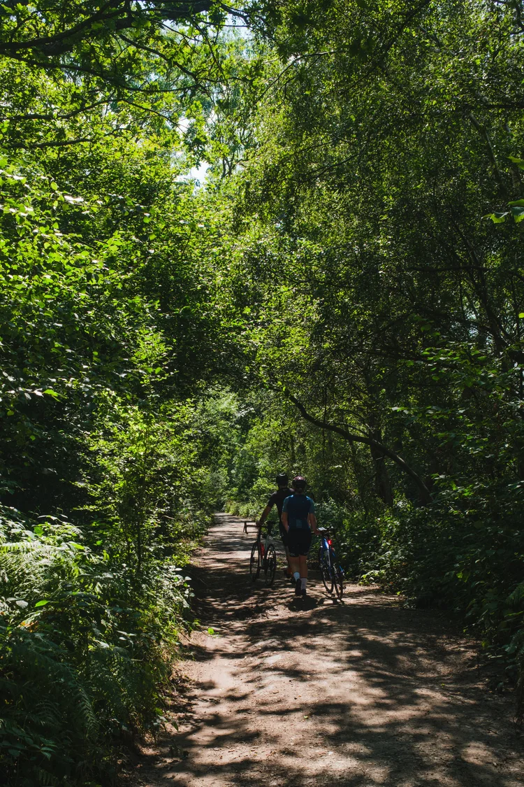 London to Brighton Cycle Route — Hungry Soles