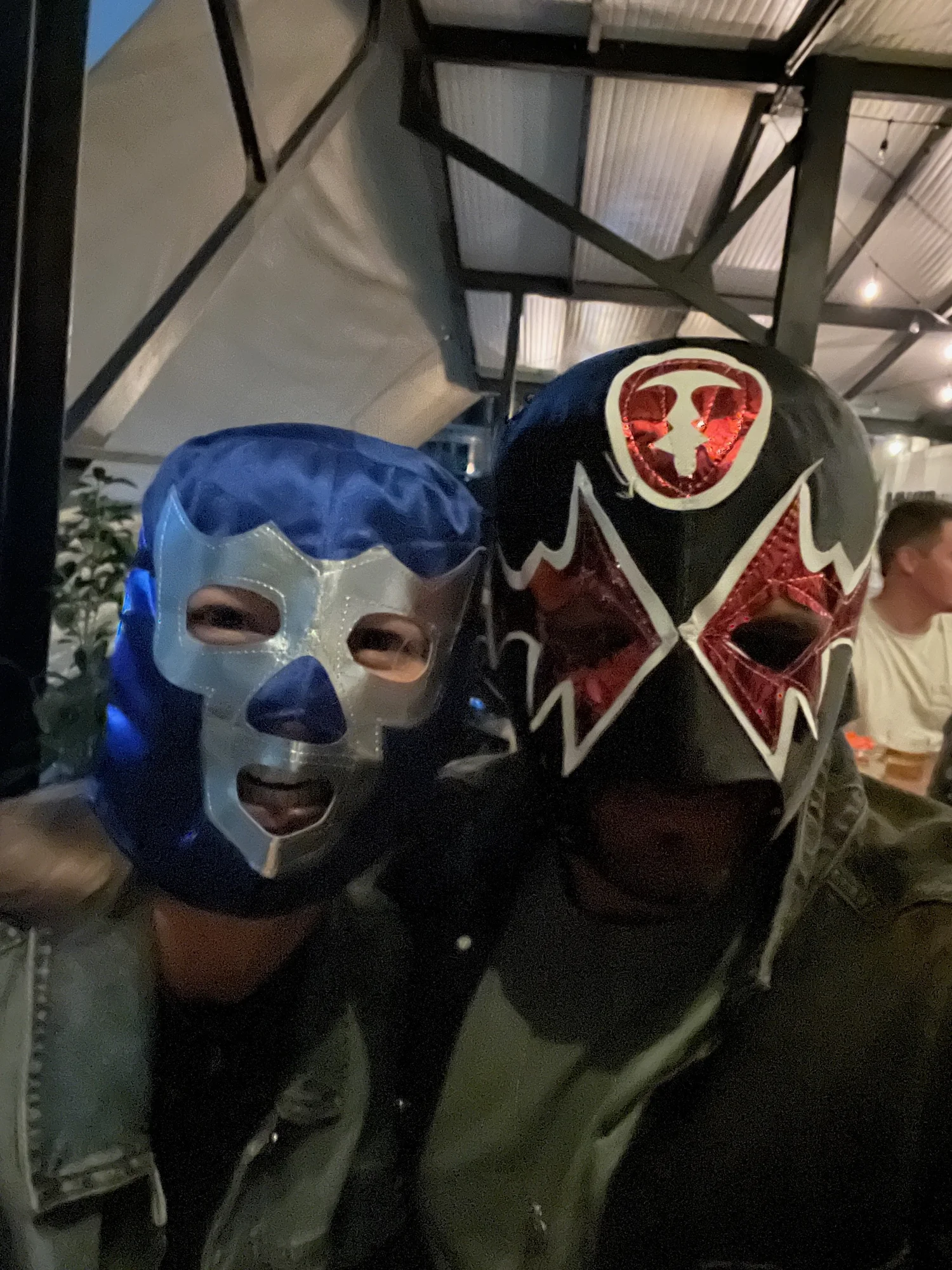 A Guide To Watching Lucha Libre in Mexico City - Tickets, Tours and ...