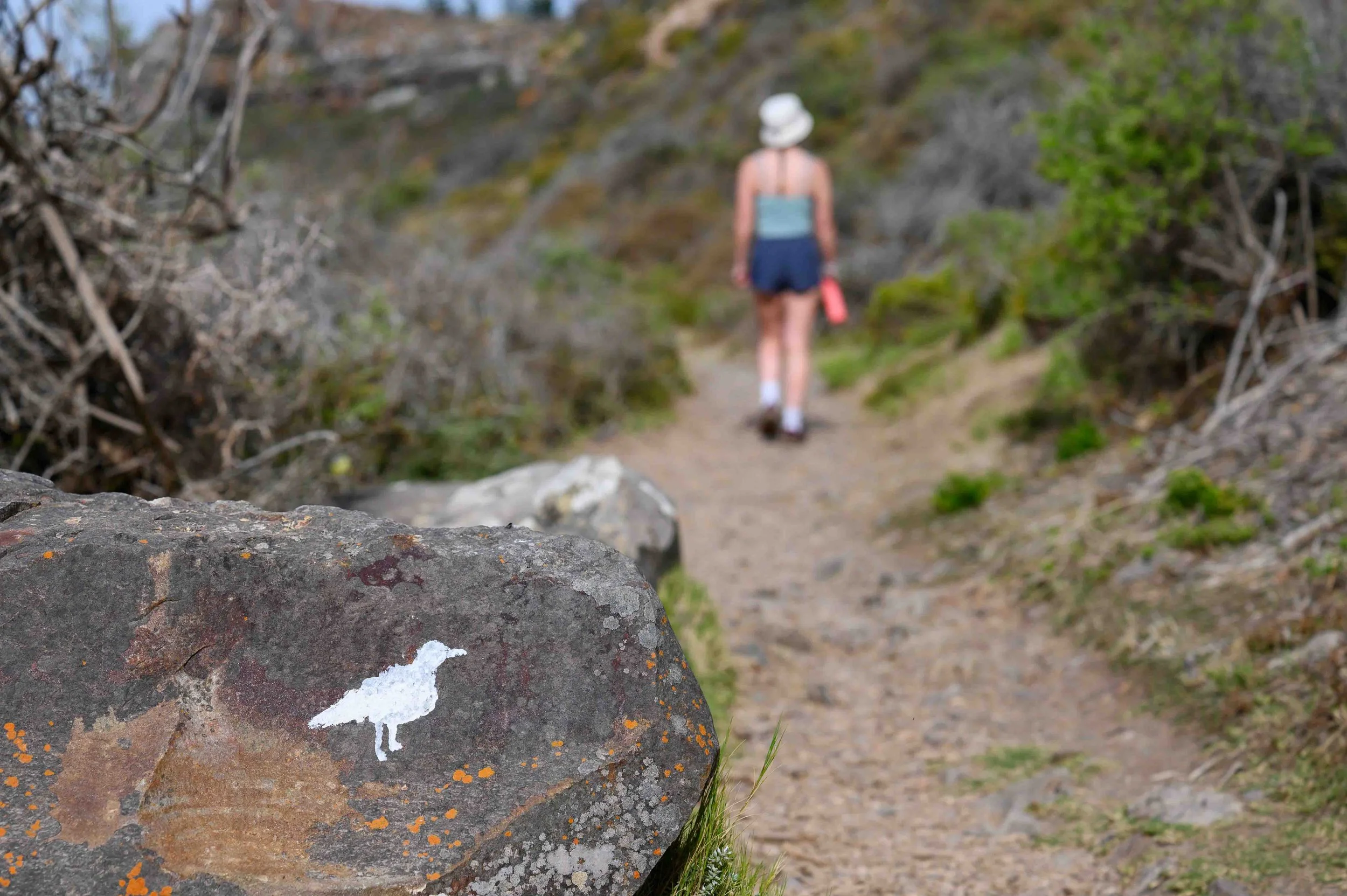 St Blaize Trail Hiking Guide - Everything You Need To Know — Hungry Soles