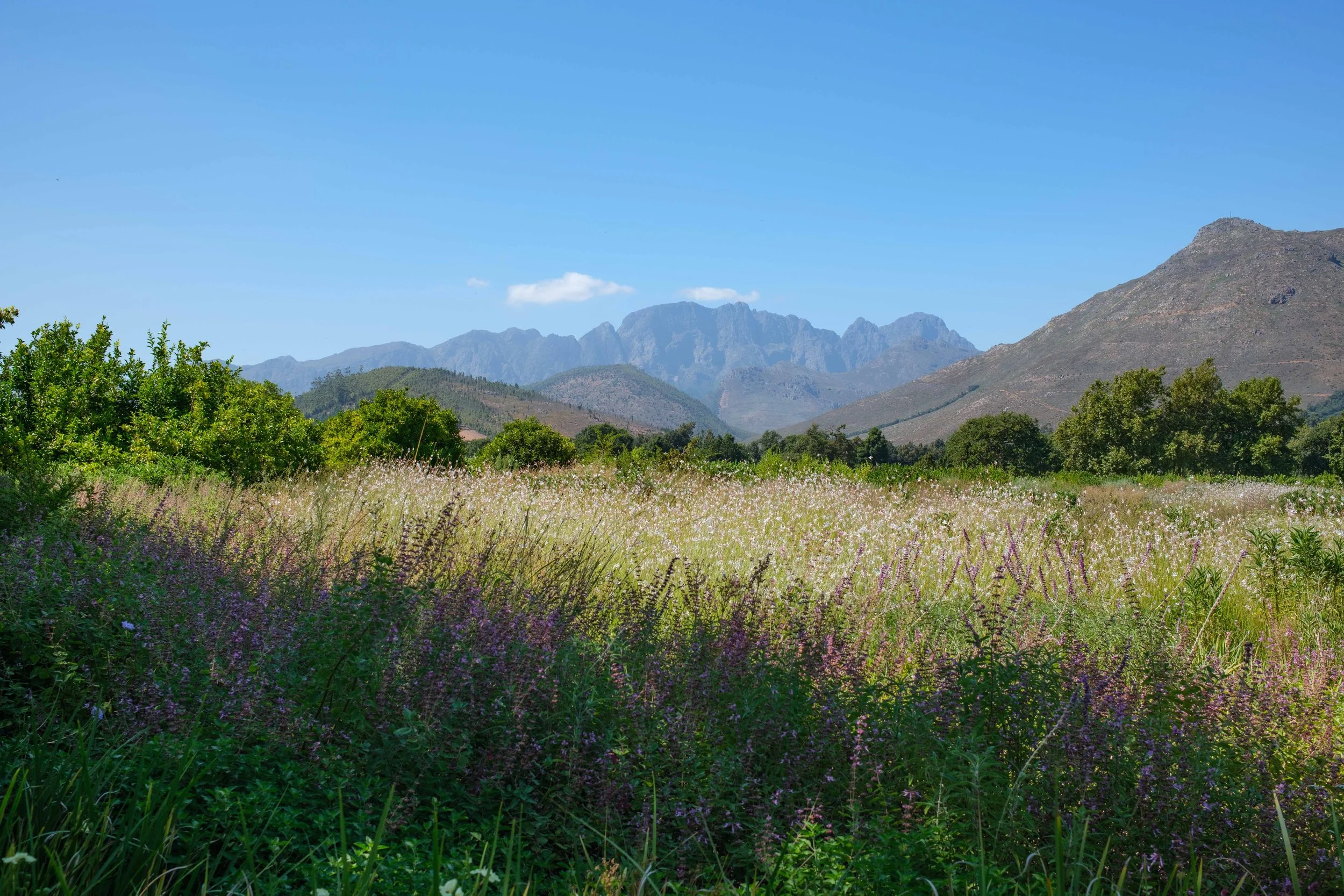 Franschhoek, South Africa - Everything You Need to Know — Hungry Soles
