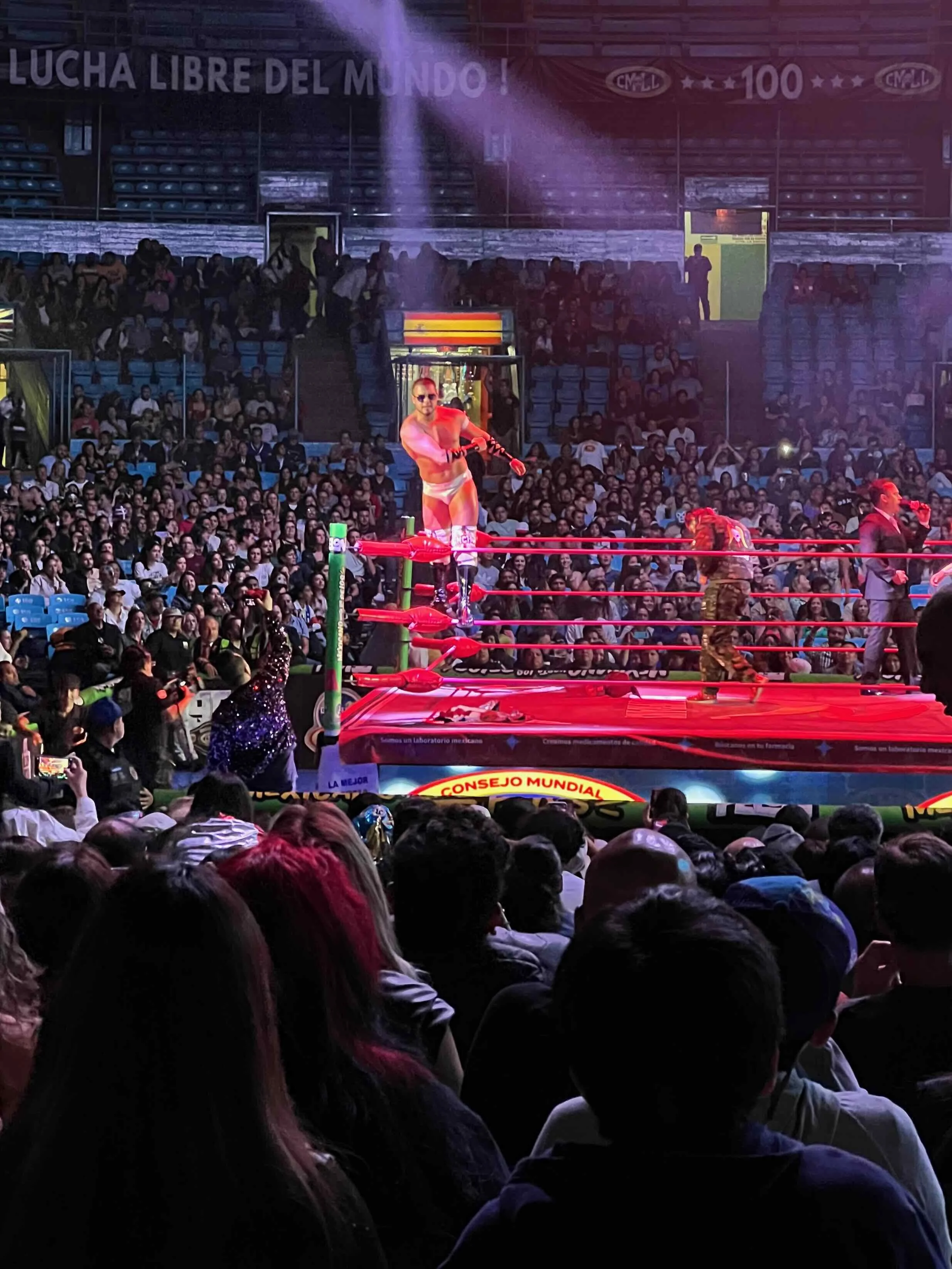 A Guide To Watching Lucha Libre in Mexico City - Tickets, Tours and ...