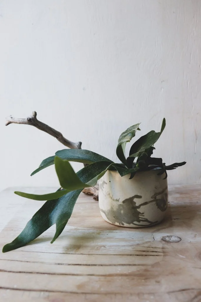 Store 2 — Spoon & Sprig Studio | Handmade Visual and Functional Art ...