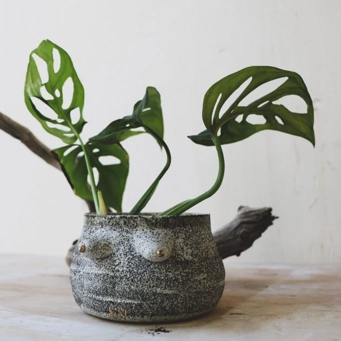 Spoon & Sprig Studio | Handmade Visual and Functional Art Grown in ...