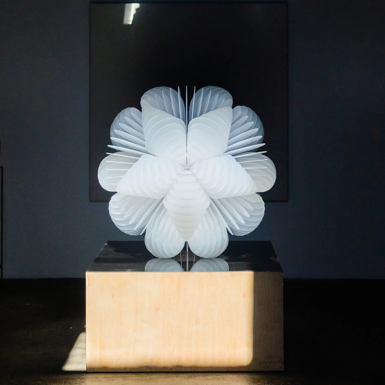 Bloom No.2 — NORMAN MOONEY