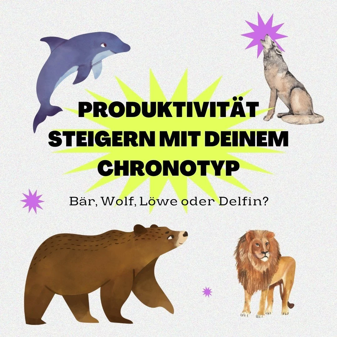 Produktivität steigern mit deinem Chronotyp: Bär, Wolf, Löwe & Delfin ...