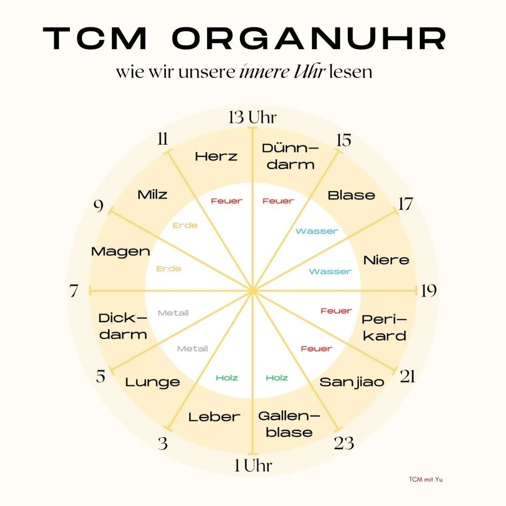 TCM Organuhr: Wachst du deshalb in der Nacht auf? — Matcha Mornings 🍵