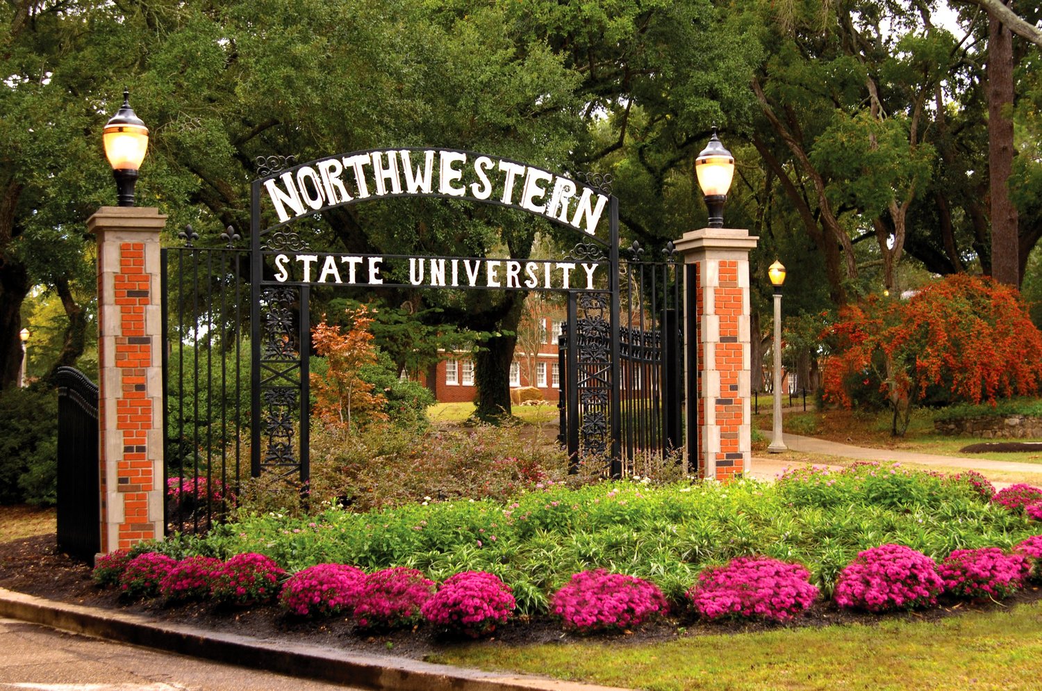 Northwestern State University of Louisiana — Study Louisiana