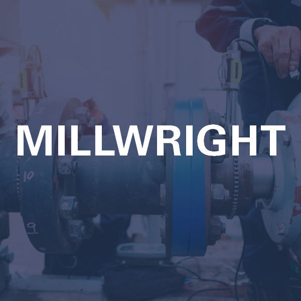 Construction Craft Courses — ABC Pelican Craft Training