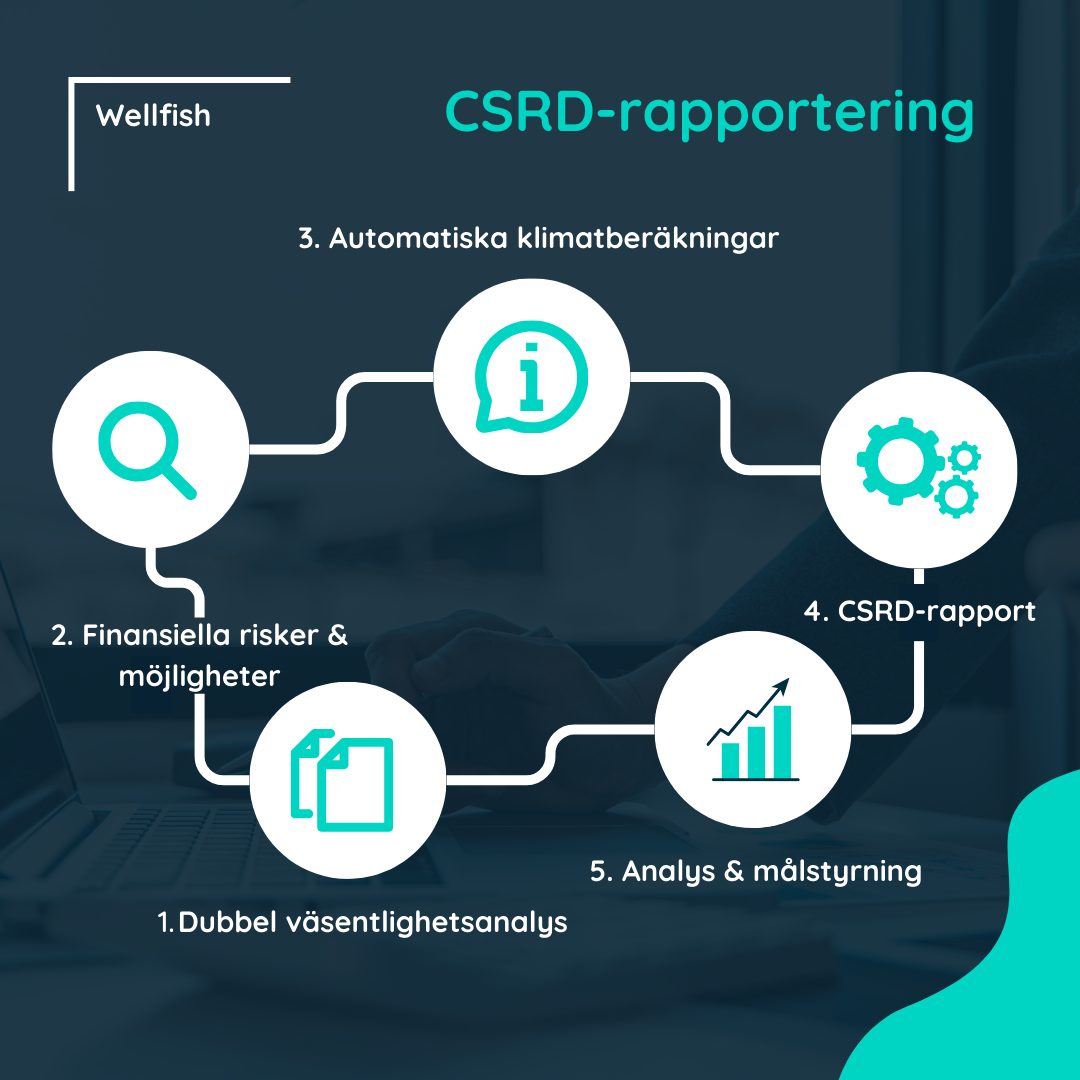 ESG-rapportering | Wellfish