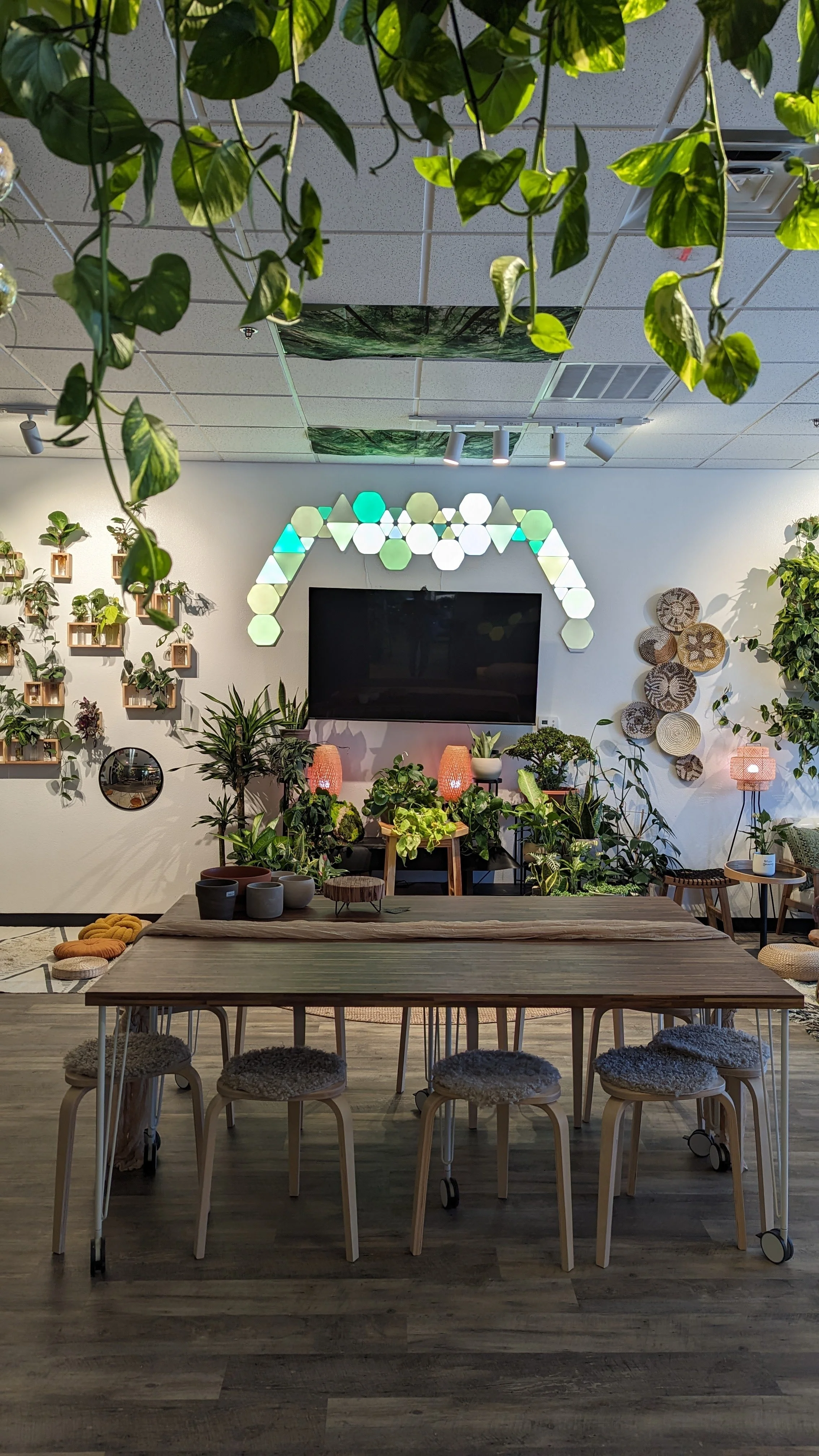 Creative Studio — Rooting 4 U