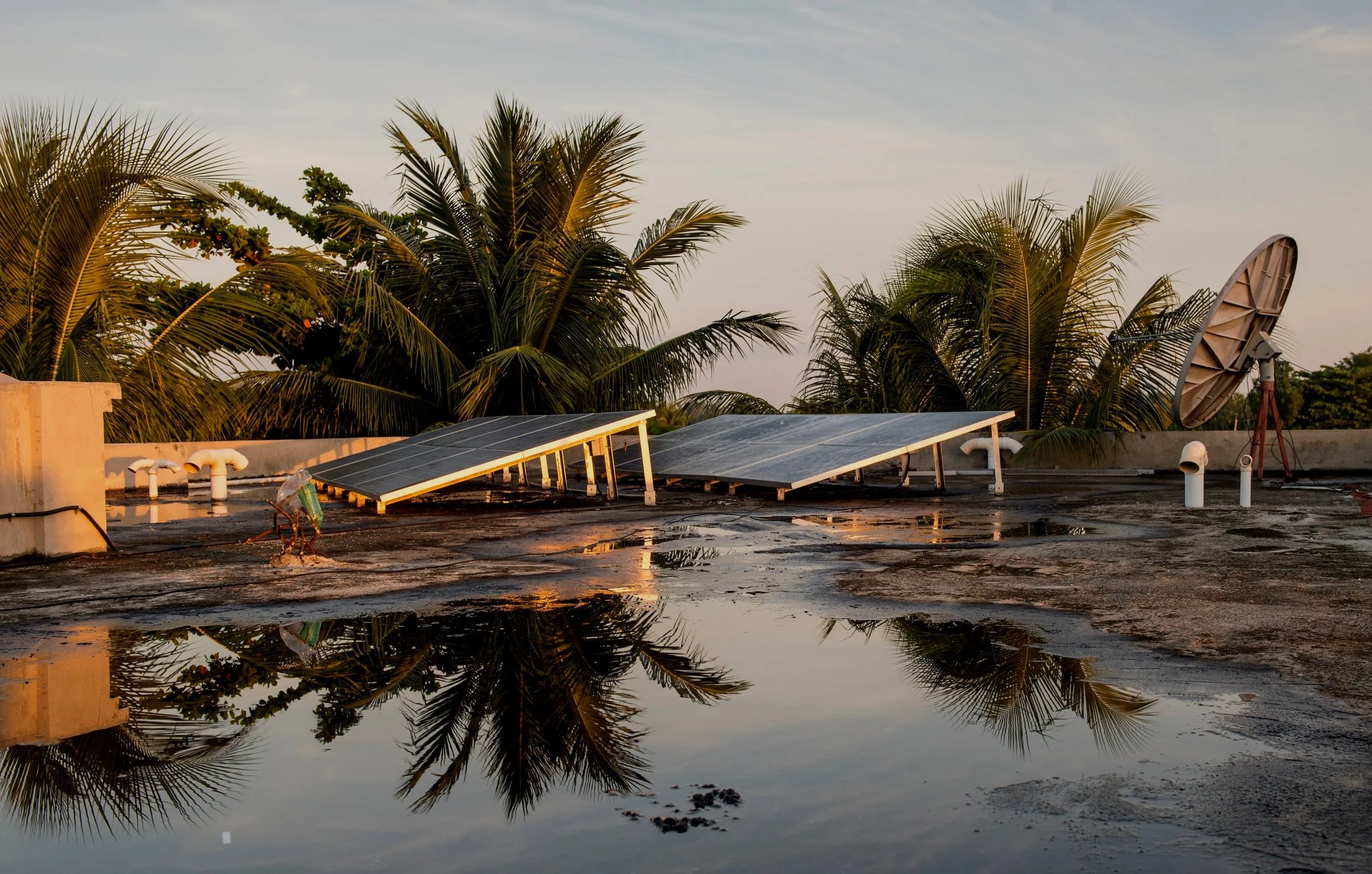 Get Involved — Let's Share The Sun Foundation