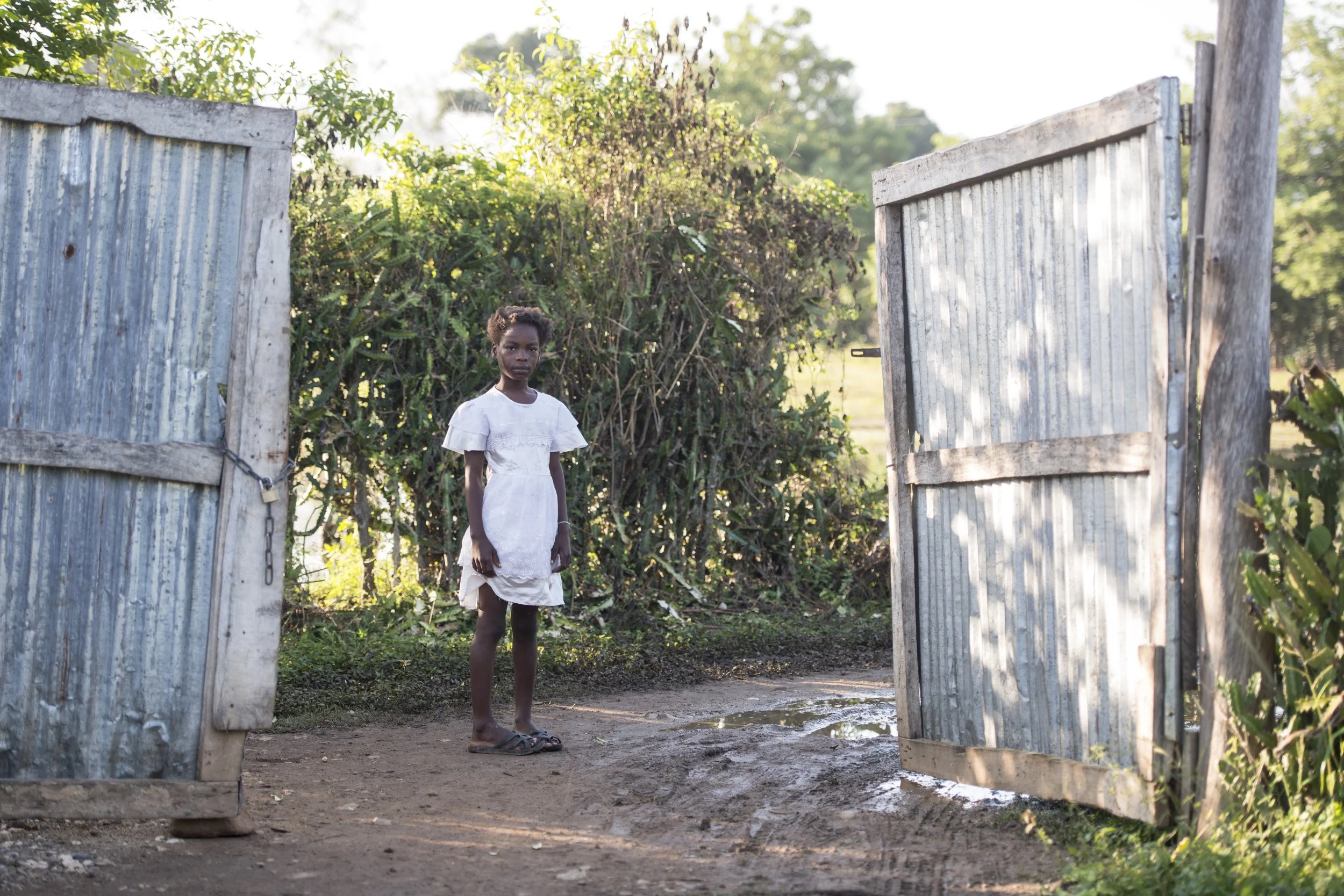 About 1 — Let's Share The Sun Foundation