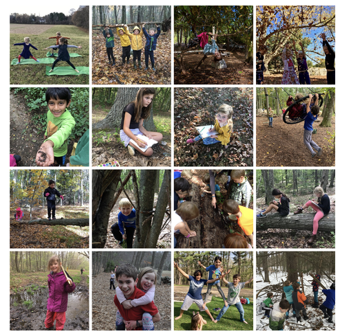 What is Nature-based? — Birches School