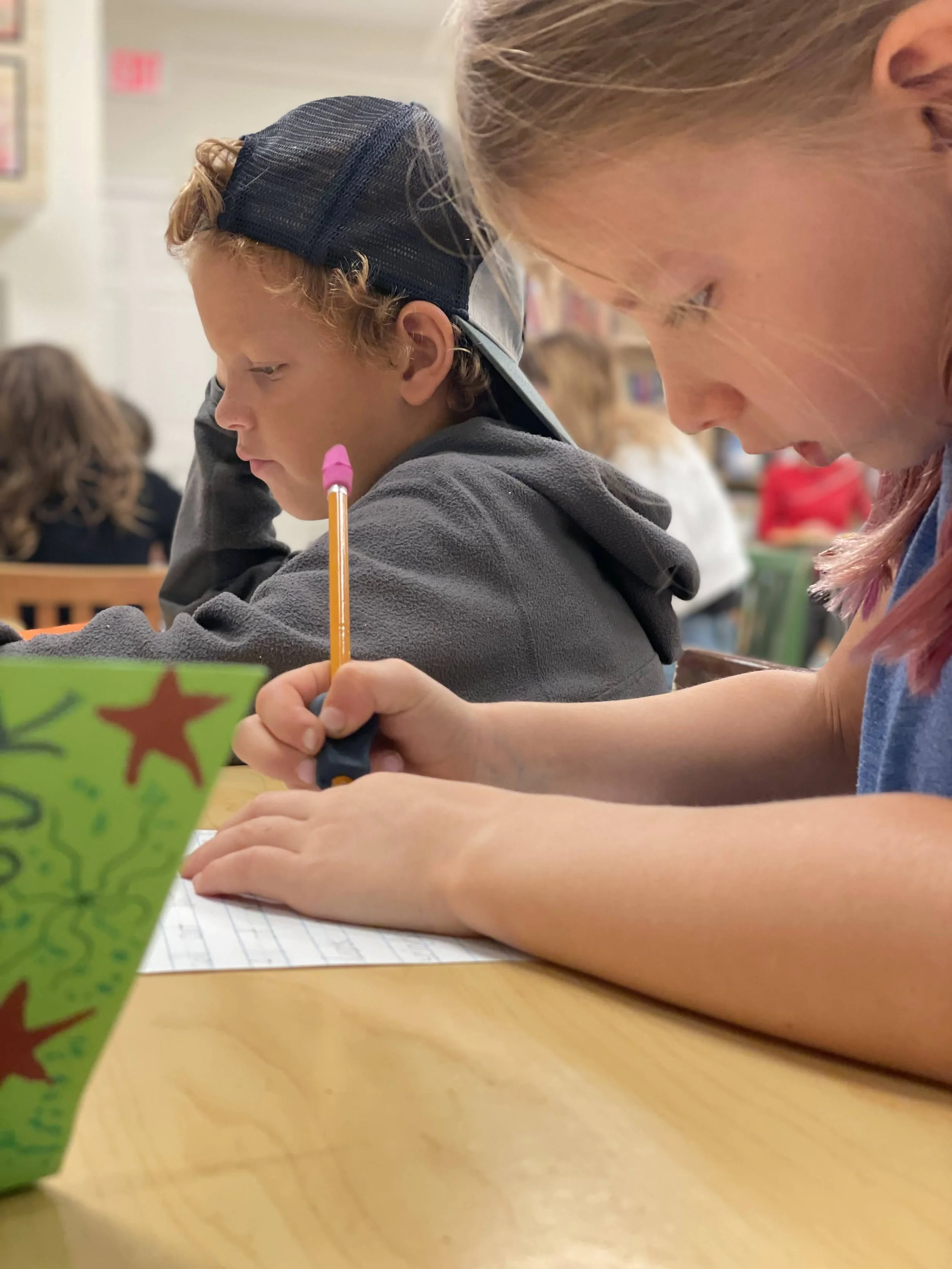 Curriculum Overview — Birches School