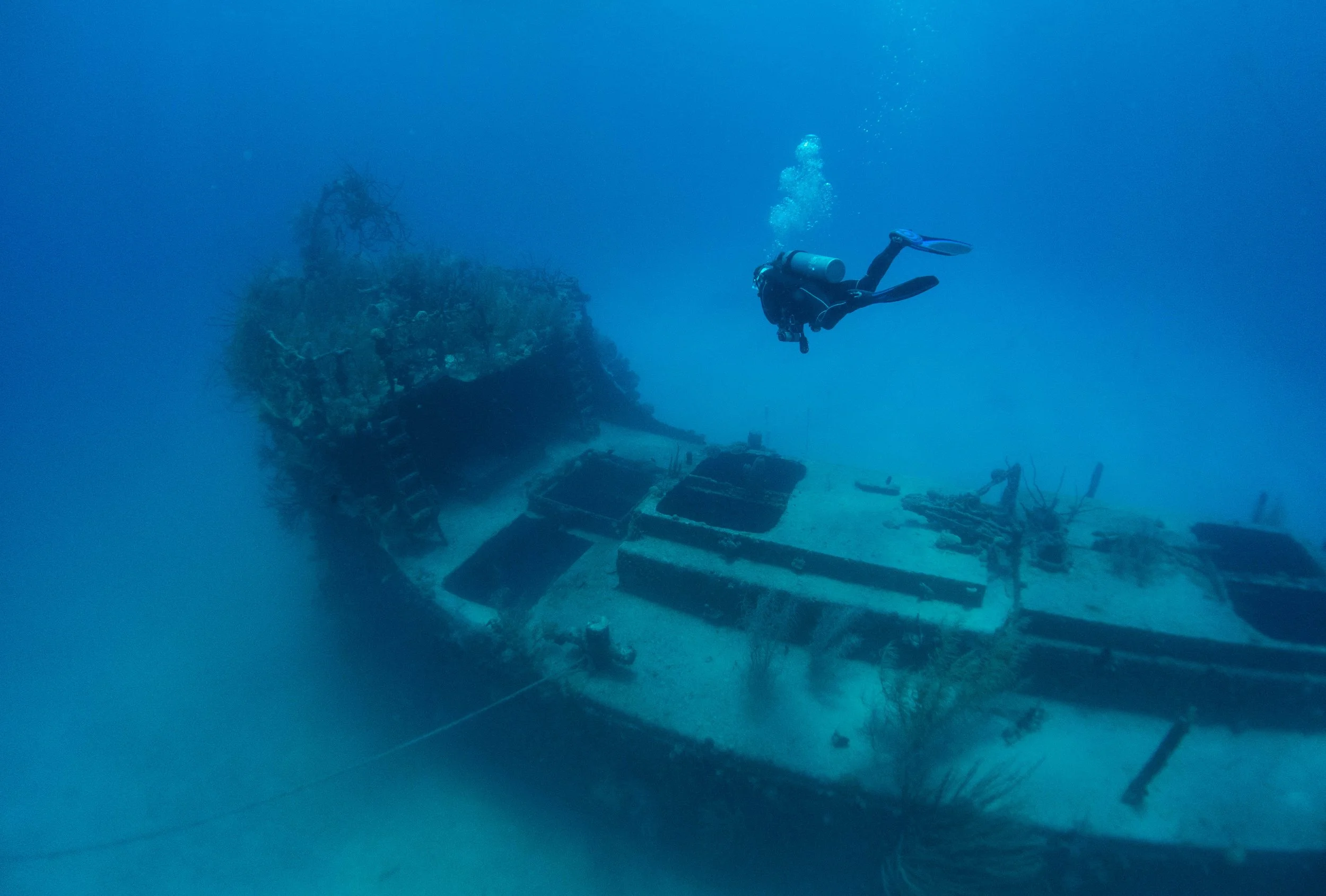 1 Guided Night Dive Roatan — Island Diving Center Roatan