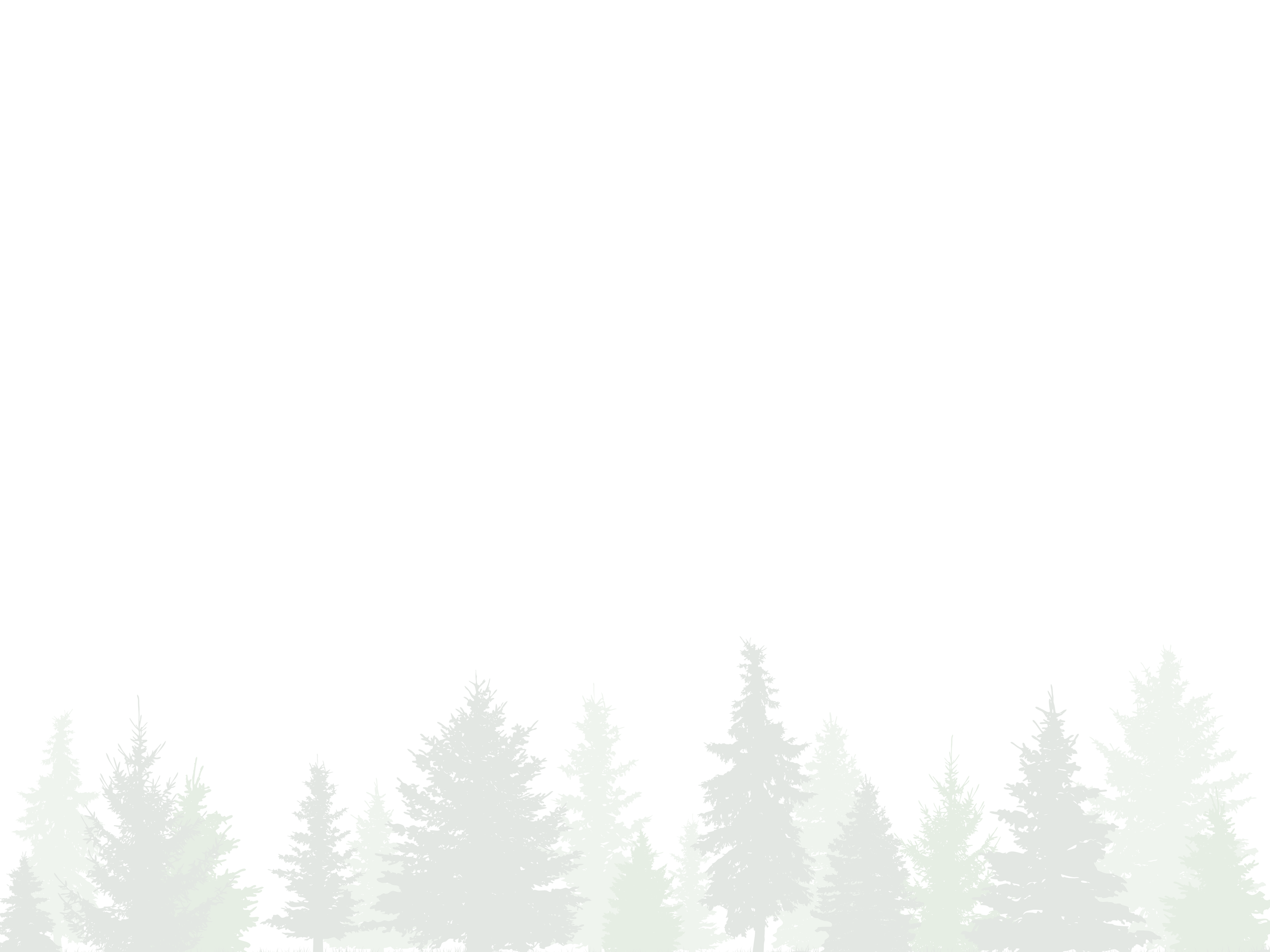 About Us — Lolo Tree Works