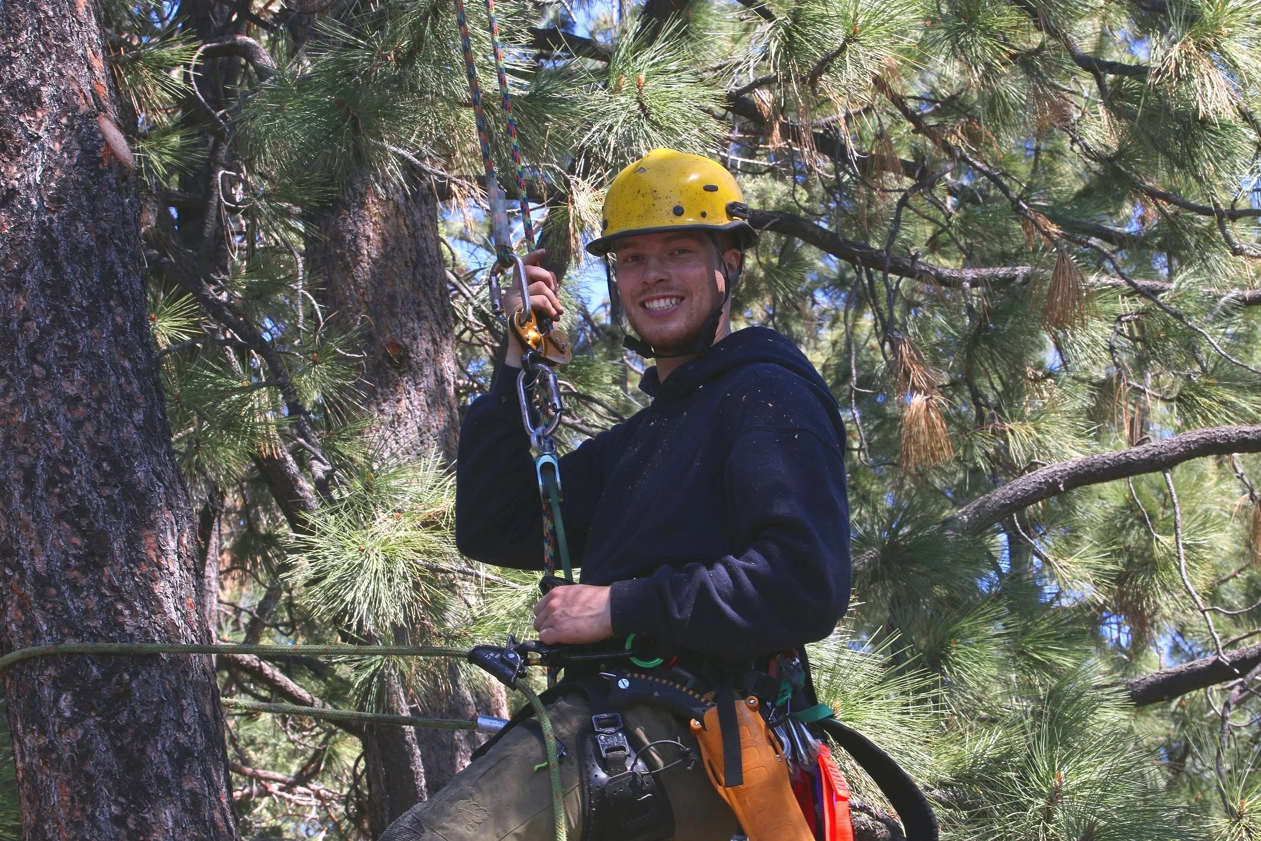 About Us — Lolo Tree Works