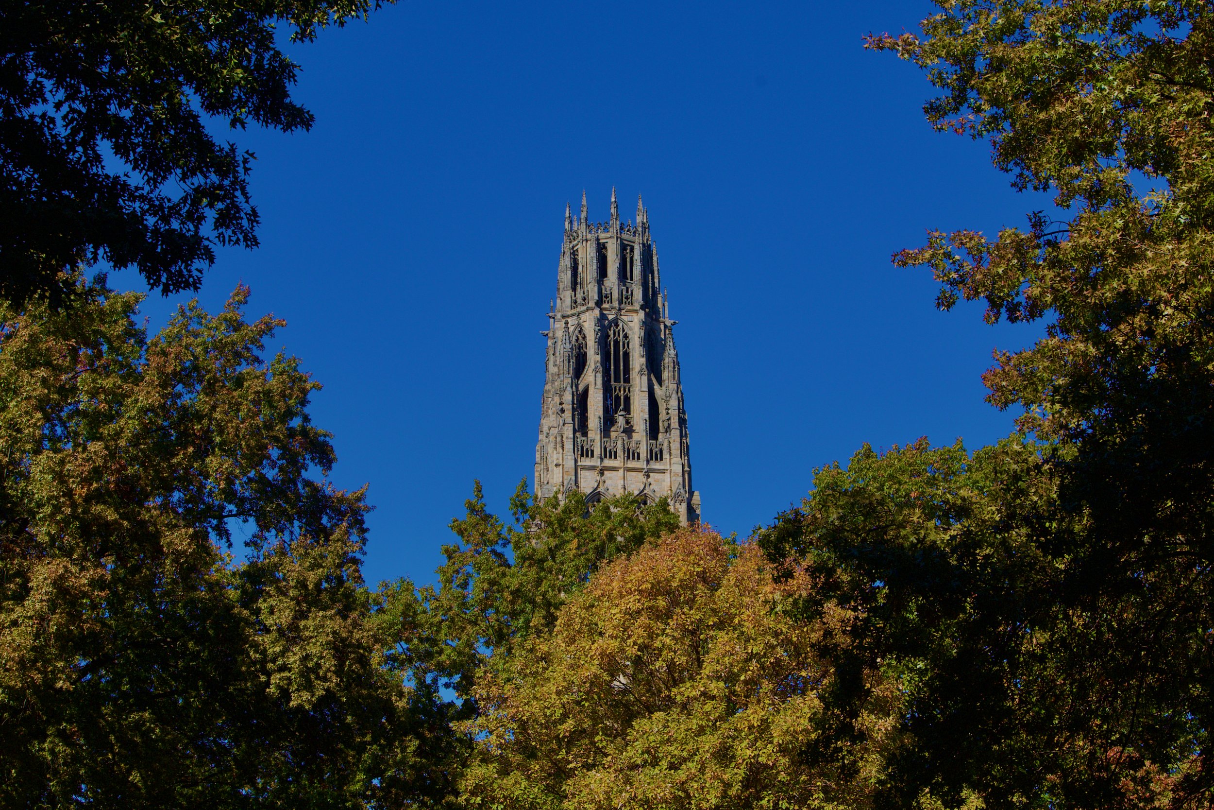 Leadership — Yale Club of New Haven
