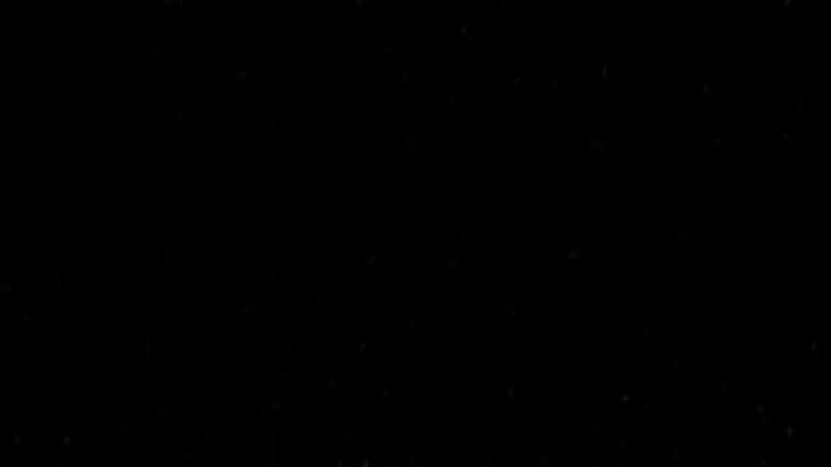 AIESEC Mission — AIESEC in Canada