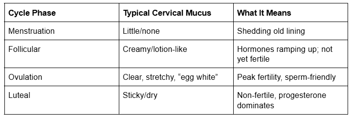 What Cervical Mucus Can Tell You About Your Cycle — Open Care Community ...