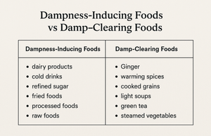 Understanding Dampness in the Body: A TCM Explanation — Open Care ...