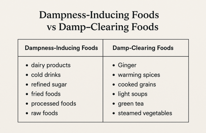Understanding Dampness in the Body: A TCM Explanation — Open Care ...