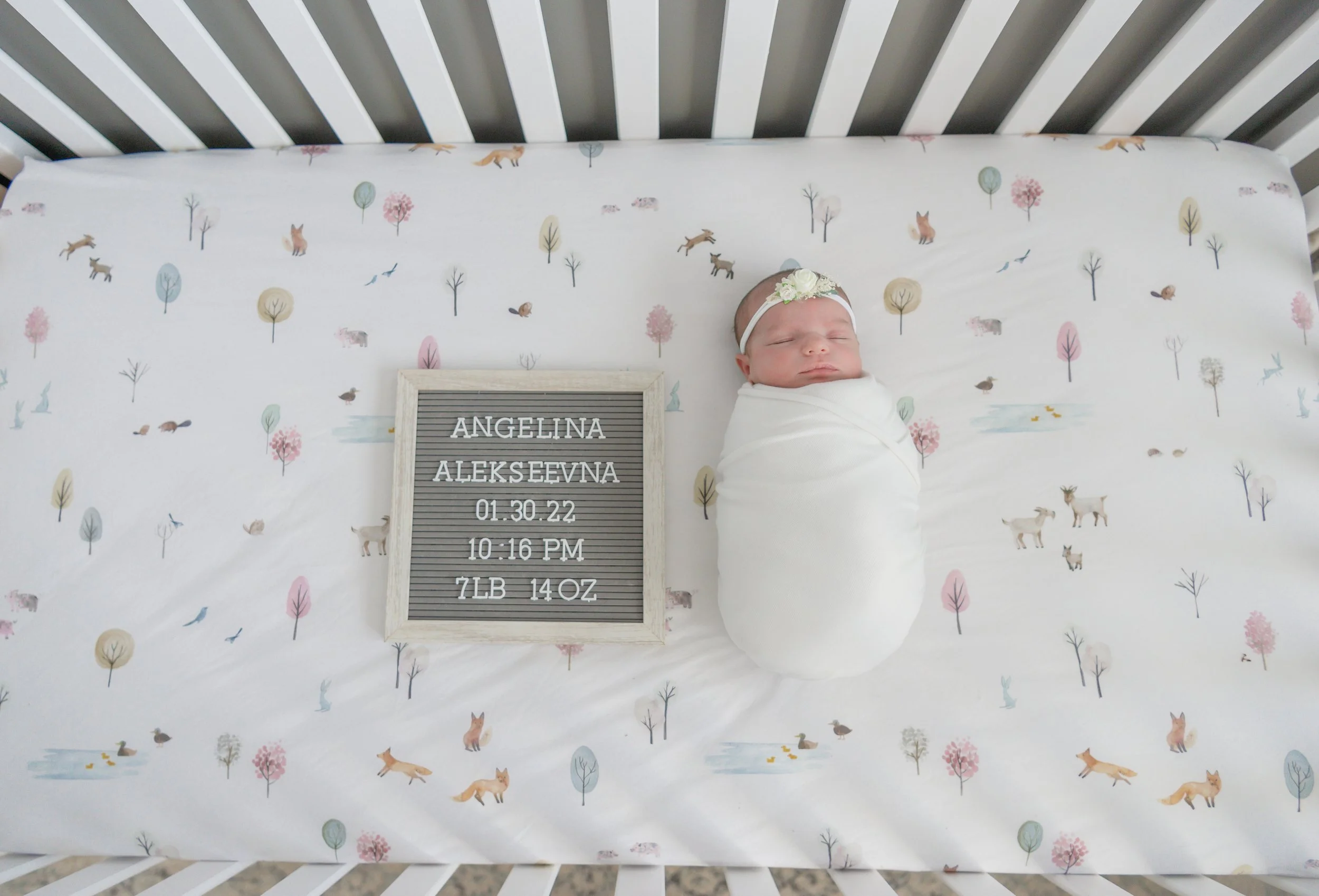 View Newborn — Lp Photography | Maternity, Newborn and Milestone ...