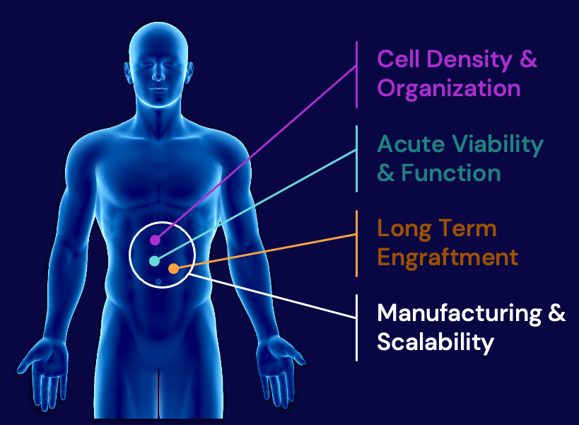 Dimension Bio - Because Cells Alone are Not Enough